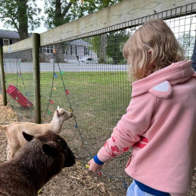 Fancy Pants Cafe – Cafe and Food