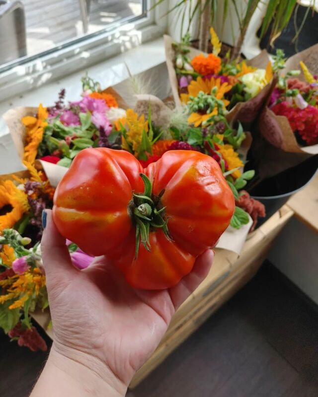 Fancy Pants Cafe – Cafe and Food