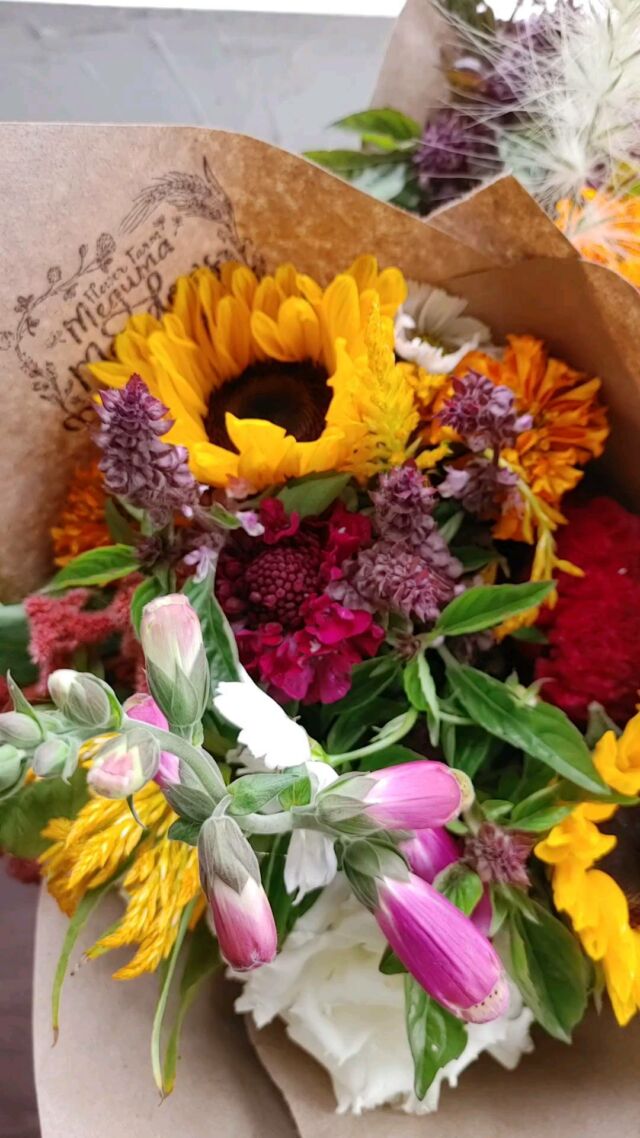 Fancy Pants Cafe – Cafe and Food