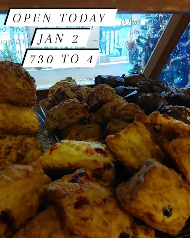 Fancy Pants Cafe – Cafe and Food